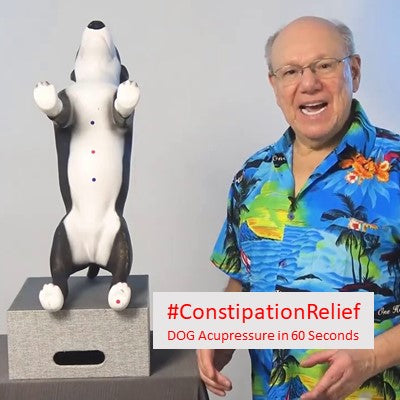 Paws-itive: Acupressure for Canine Constipation – Dr Baritz