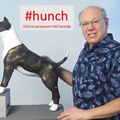 #hunch - DOG Acupressure in 60 Seconds – Dr Baritz