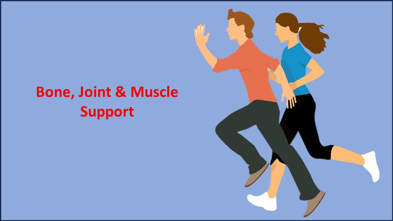 Bone, Joint & Muscle Support – Dr Baritz