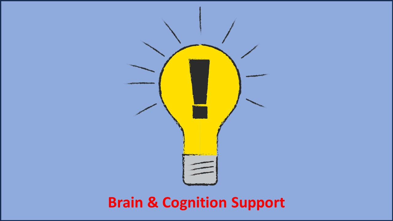 Brain & Cognition Support – Dr Baritz